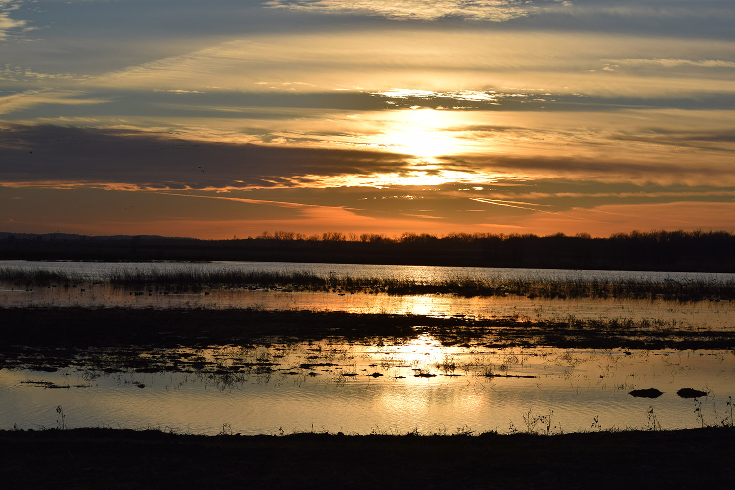 Sunset 1 - Steven Franklin