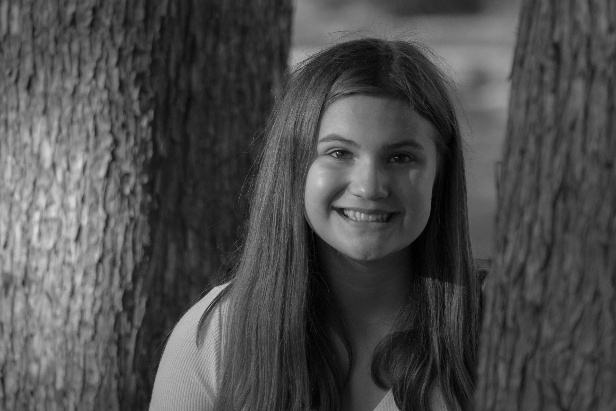 In the Trees - Steven Franklin